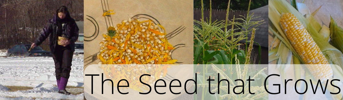 The Seed that Grows Project – Serena Kovalosky